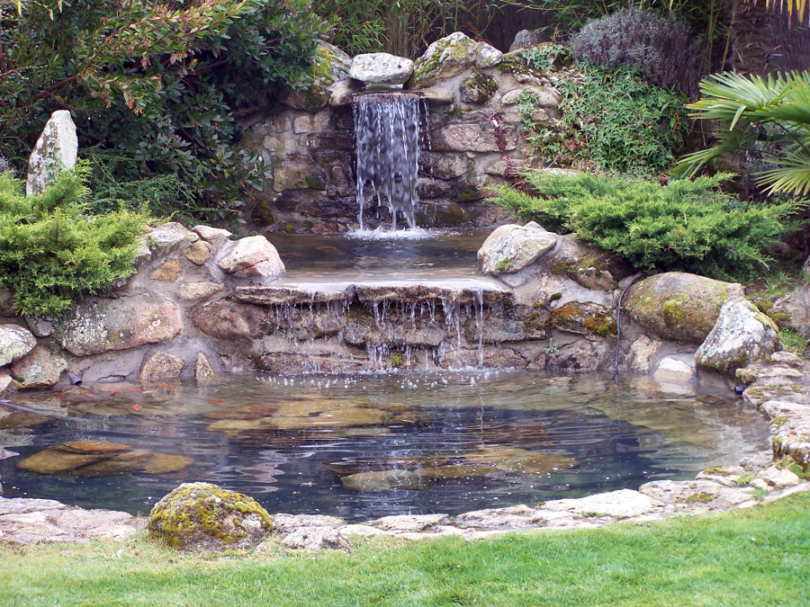 Foto: Estanque de Paisaje Jardinería Profesional #248476 - Habitissimo
