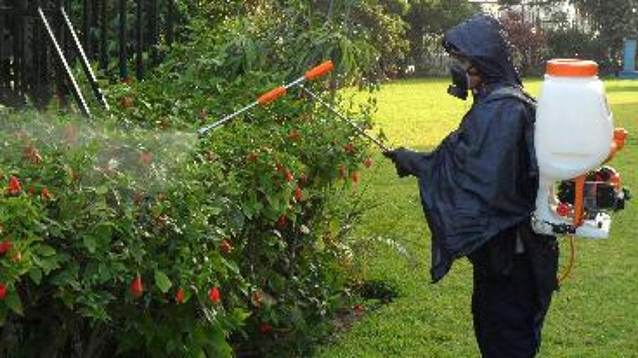 Foto: Fumigar de Jardineria Y Mantenimiento De Zonas Verdes Jarver ...