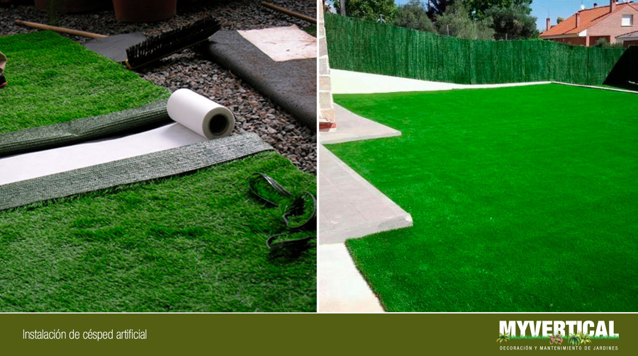 Foto: MyVertical de Myvertical #1677532 - Habitissimo