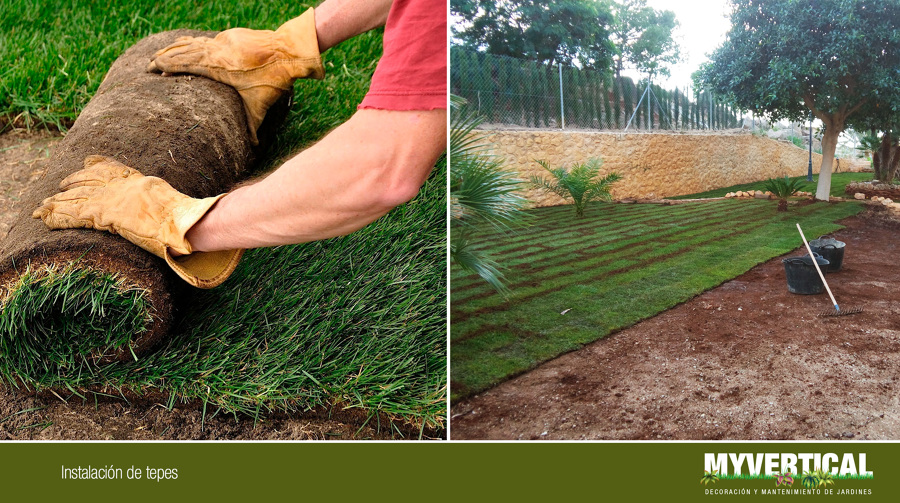 Foto: MyVertical de Myvertical #1677534 - Habitissimo