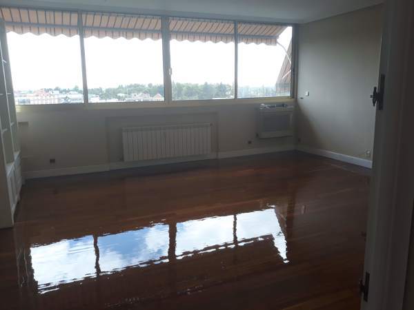 Foto: Barniz Brillo de Typol #1910063 - Habitissimo