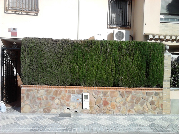 Foto: Recorte de Seto de Ciprés de Jardinería Integral #3149232 ...