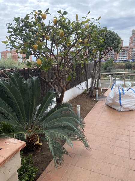 Foto: Limpieza y Recortes de Plantas de Creen Gardel Cities #2963705 ...