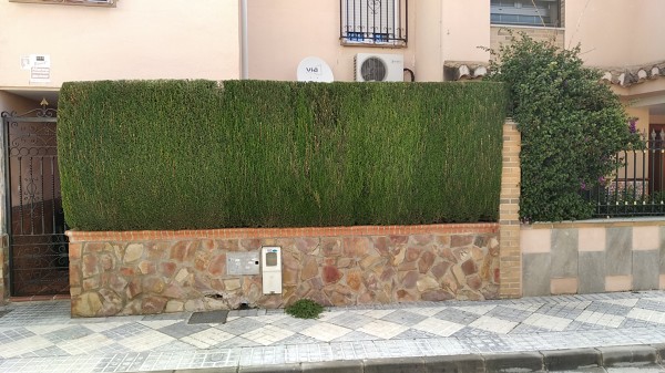 Foto: Recorte de Seto de Ciprés de Jardinería Integral #3149240 ...