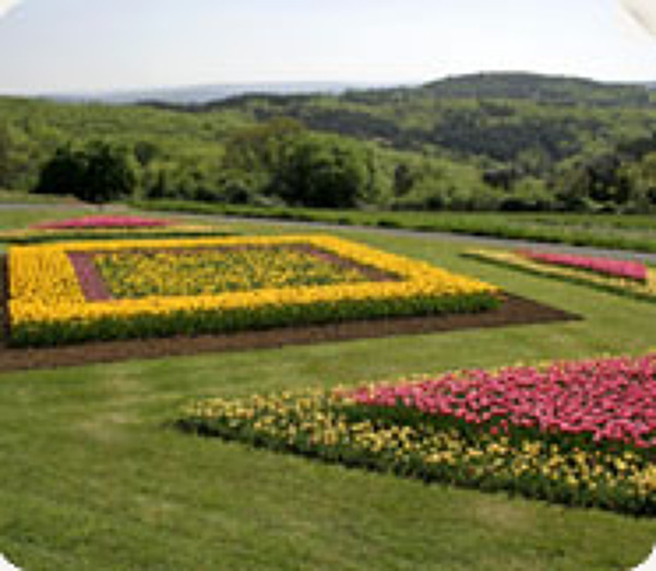 Foto: Jardinero Boadilla de Jardineria Y Mantenimiento #643897 ...