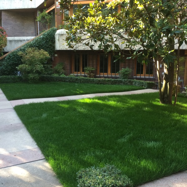 Foto: Tepe (2 Semanas Despues) de Alberto Magdaleno Serrano #1977368 ...