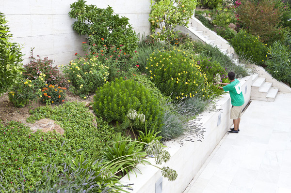 Foto: Rocalla con Planta Aromática de Jardí Pedra i Àrids S.L. #717328 ...