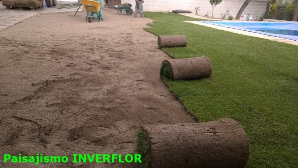Foto: Instalación de Tepes de Césped Natural de Paisajismo Inverflor ...