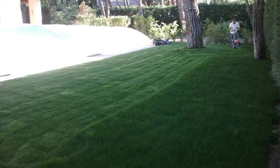 Instalación de Tepe | Ideas Jardineros