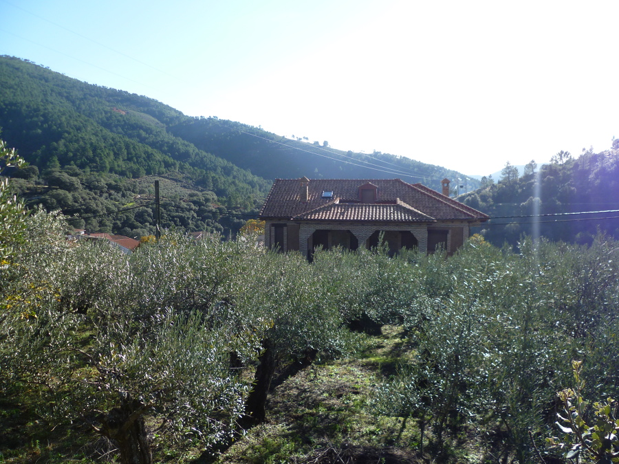 Hotel Rural | Ideas Construcción Casas