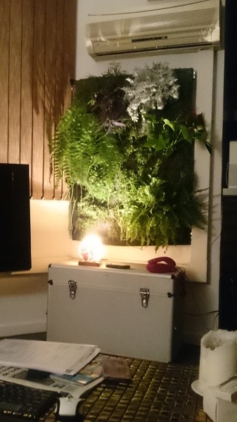 Foto: Cuadro Vivo de Lolo Rendón - Artesano Jardinero #1278894 ...