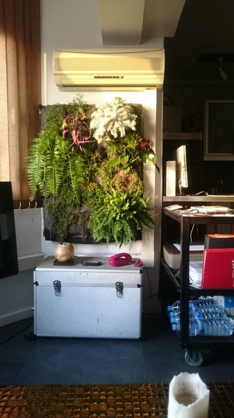 Foto: Cuadro Vivo de Lolo Rendón - Artesano Jardinero #1278903 ...