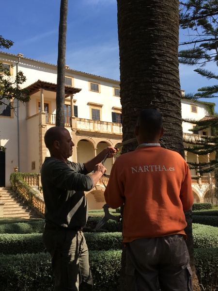 Foto: Finca Raixa de Nartha Serveis SL #1447012 - Habitissimo