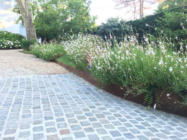 Foto: Plantación Rampa Parking de El Invernadero #1652330 - Habitissimo