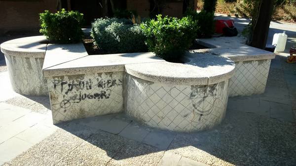 Foto: Raspado Blanco de Pablodp #1435591 - Habitissimo