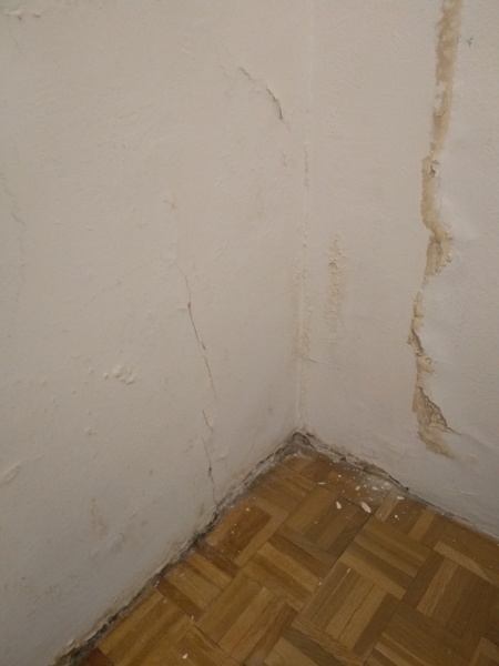 Foto: Reparar Paredes Agrietadas y con Humedad de Consivermas #3059896 ...