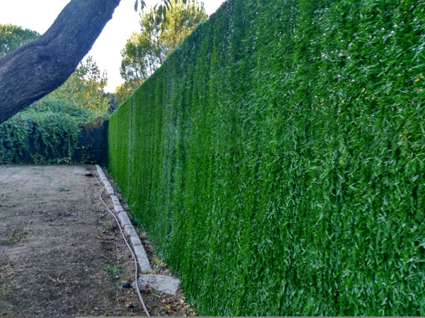 Foto: Seto Instalado de Jardineria Castañares #1617969 - Habitissimo