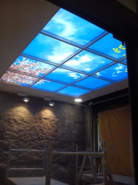 Foto: Techo Decorativo de Juancareformas #985932 - Habitissimo